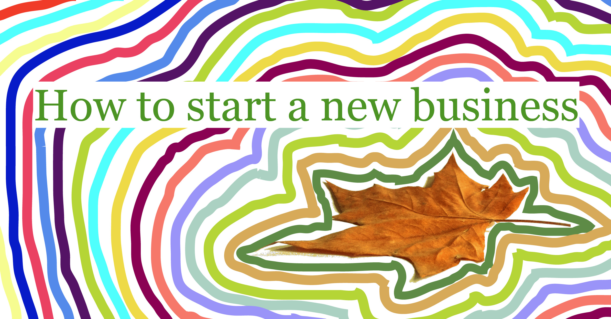 How to start a new business – The Creative Independent