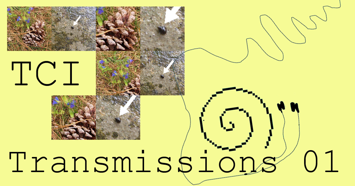 TCI Transmission 01: Snail Meditation – The Creative Independent